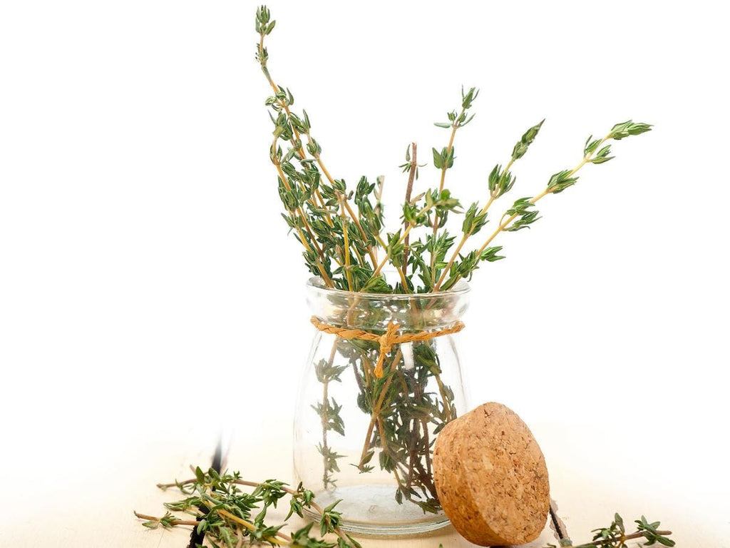 Quels sont les bienfaits du thym ? - Blog